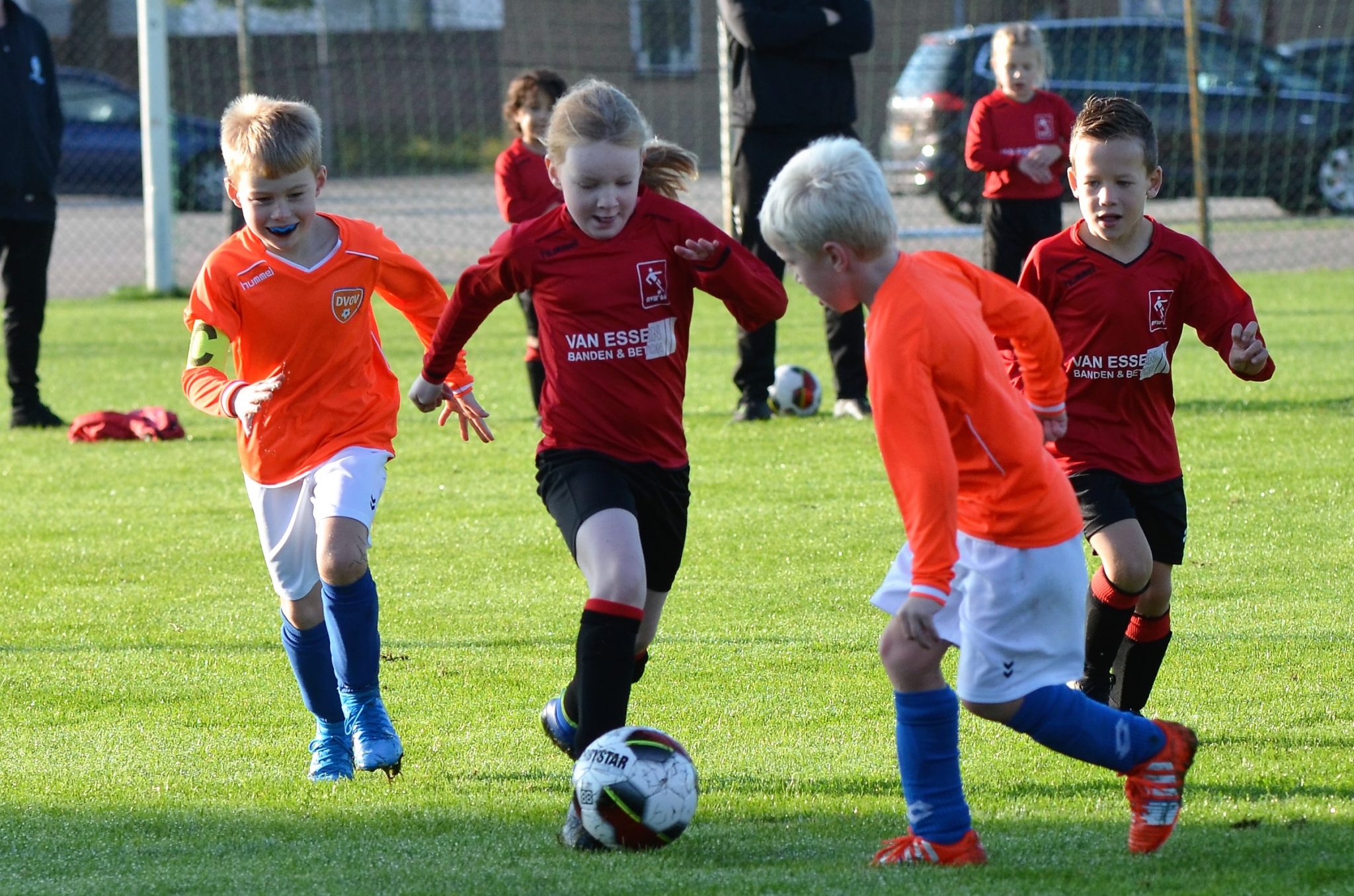 Teamindeling 2024-2025 | AVW'66